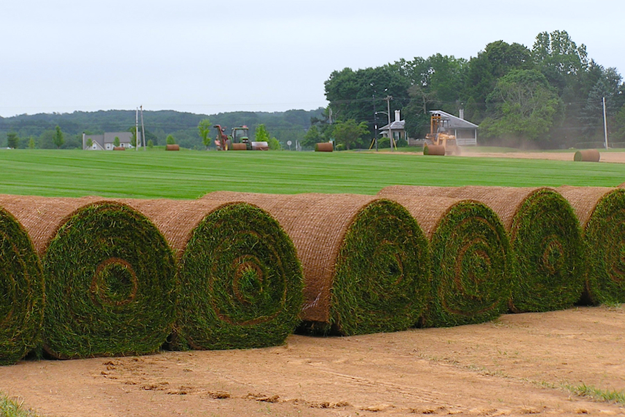 Superior Turf at Work: Sod Installation Photo Gallery